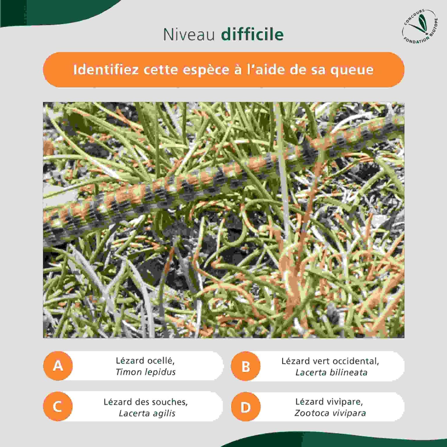 FAQ Concours Meilleur Naturaliste France | Fondation Biotope